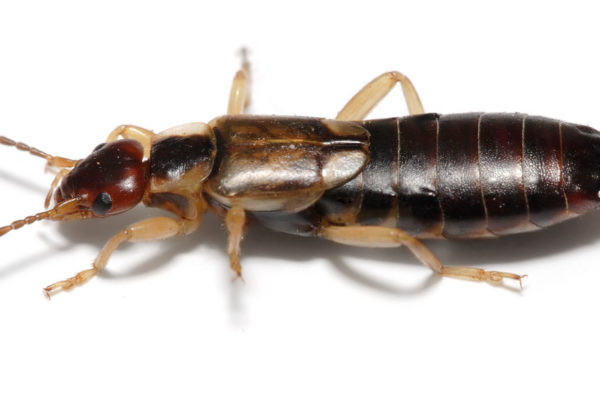 Nature Discovery Center – Hana and Arthur Ginzbarg