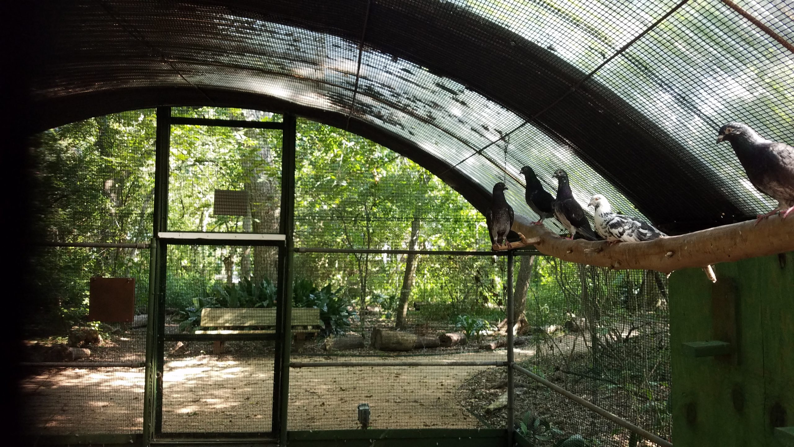 Aviary – Nature Discovery Center