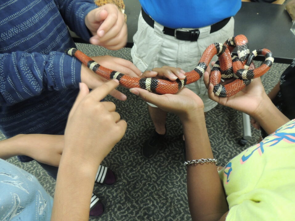 Outreach Programs – Nature Discovery Center