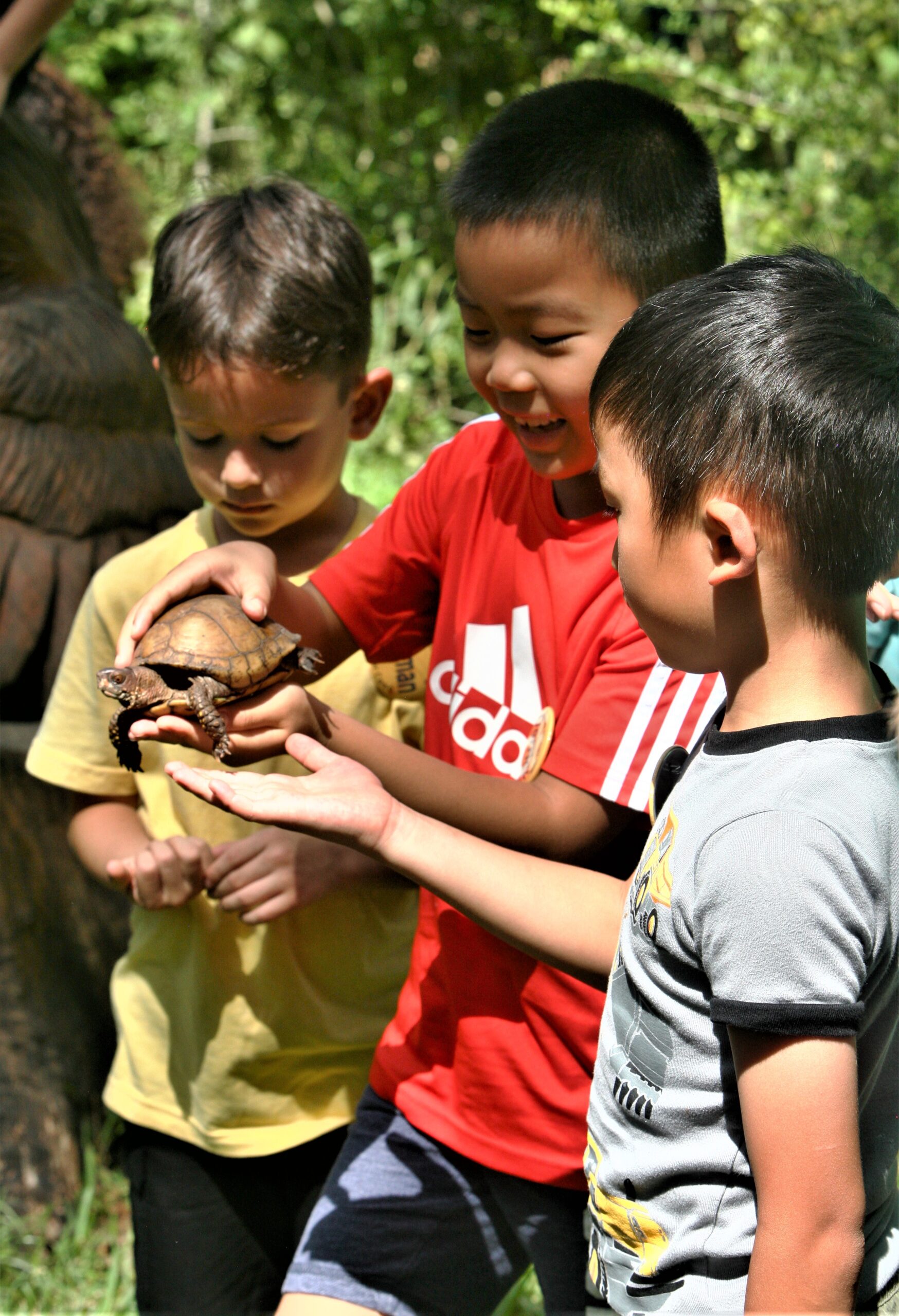 Donations – Nature Discovery Center
